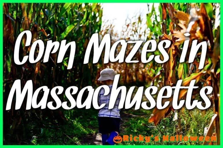 Explore The Exciting Corn Mazes In Massachusetts!