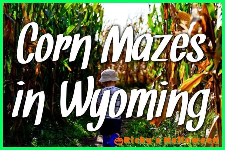 What Are Corn Mazes? Your Ultimate Guide To This Fall Fun